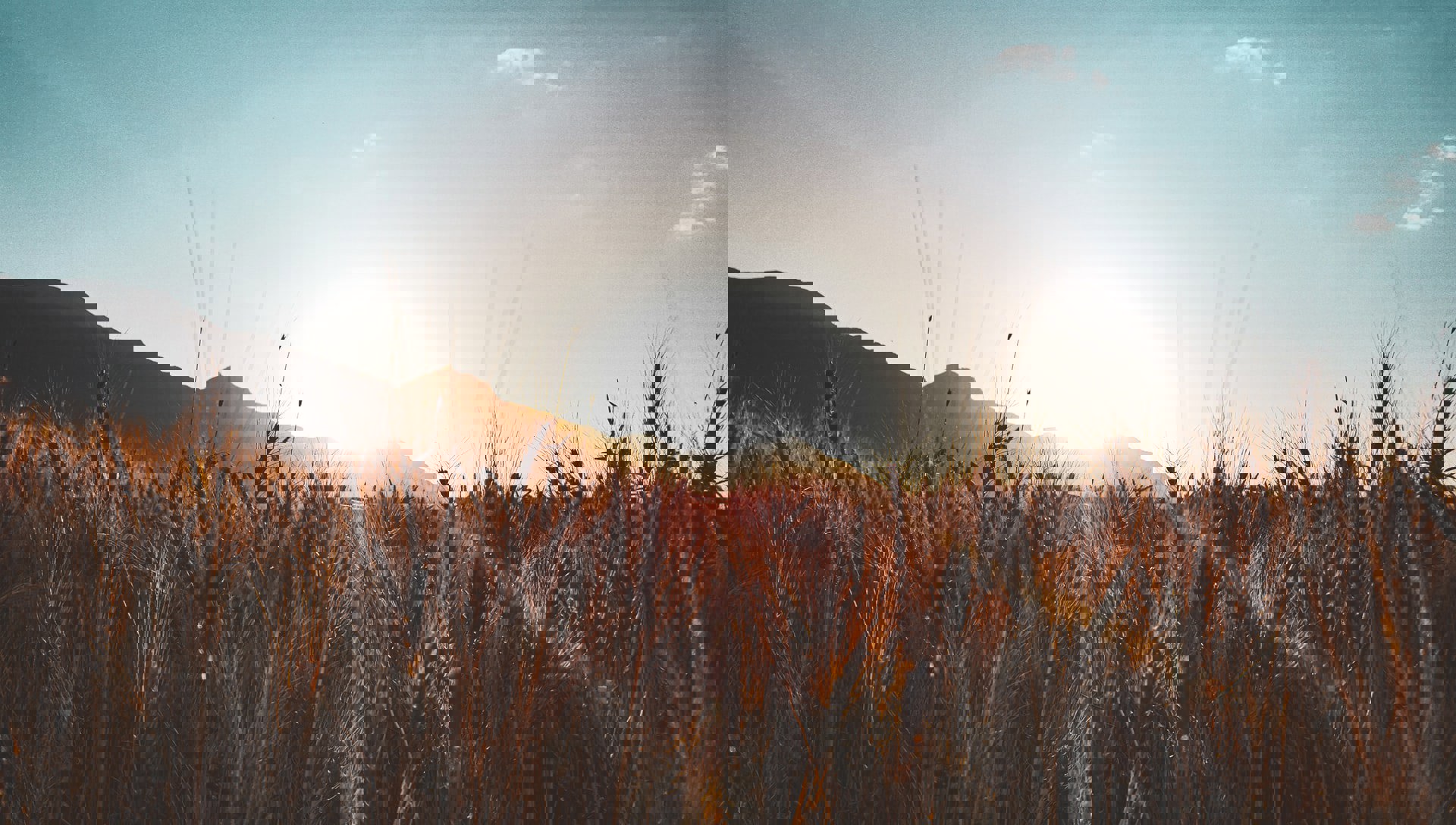 Evidas og Energinets arbejde med brint